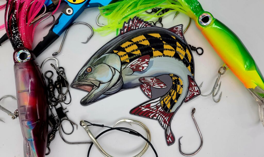 MD RockFish-StripedBass Decal – Windsor Wildlife