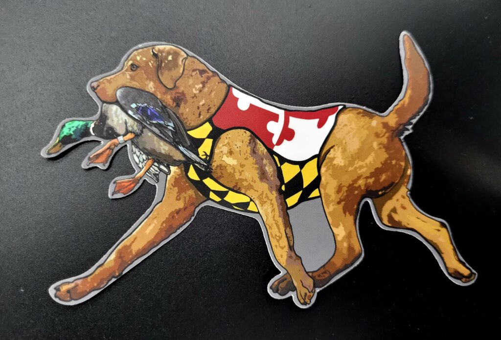 MD Chesapeake Bay Retriever Decal – Windsor Wildlife