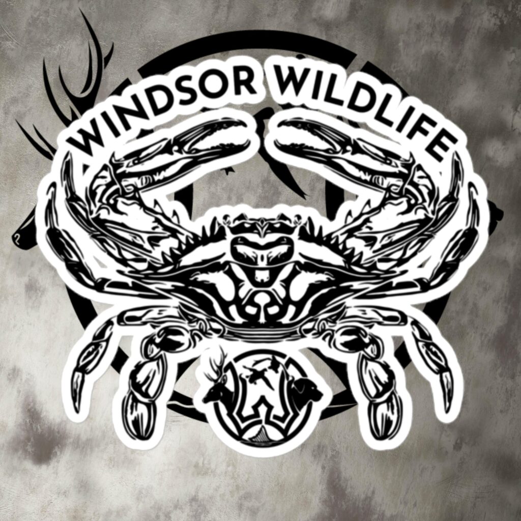 WW CRAB Bubble-free stickers – Windsor Wildlife